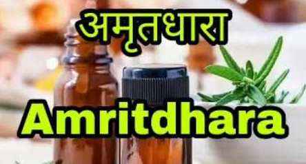 Ayurvedic Amritdhara: 100 रोगों की 1 दिव्य औषधि अमृतधारा: Benefits ...